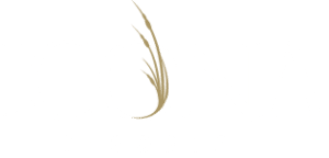 ICONA Resorts - Beach Resorts at The New Jersey Shore
