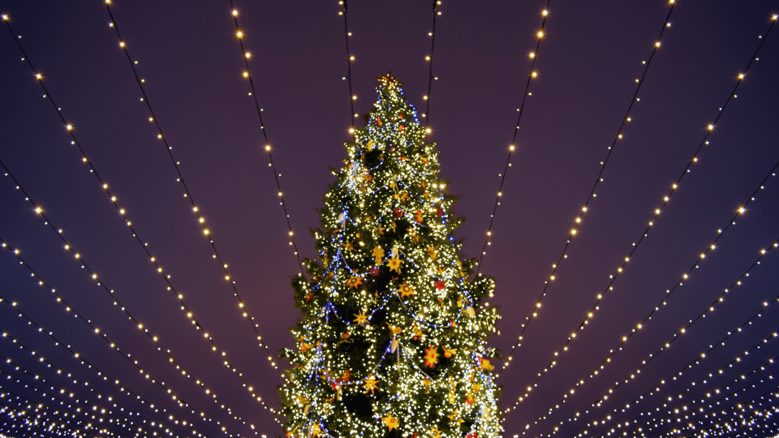 The Best Cape May NJ Christmas Activities to Explore