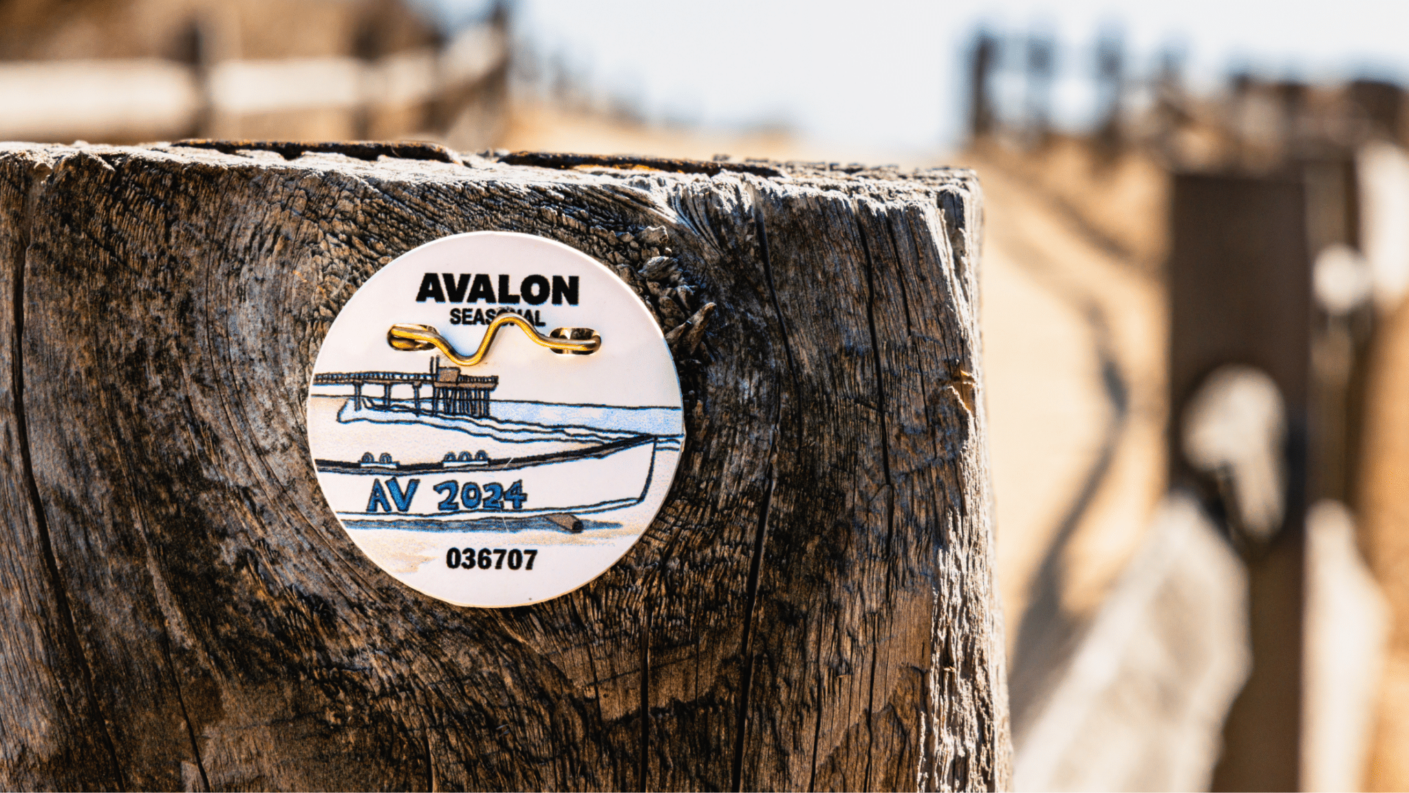 Everything You Need to Know About Beach Tags in NJ